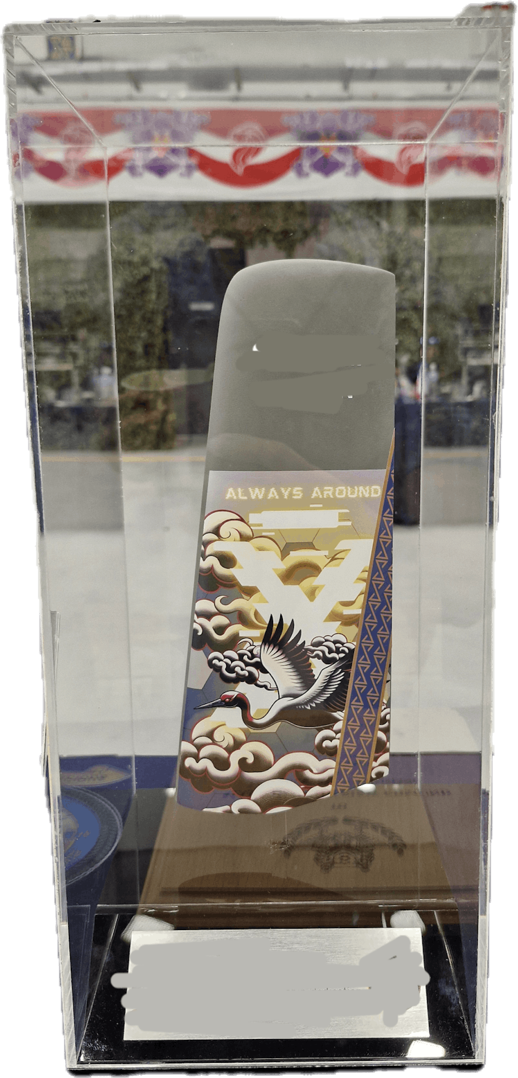 ALLBRICKS Custom Made Acrylic Display Case