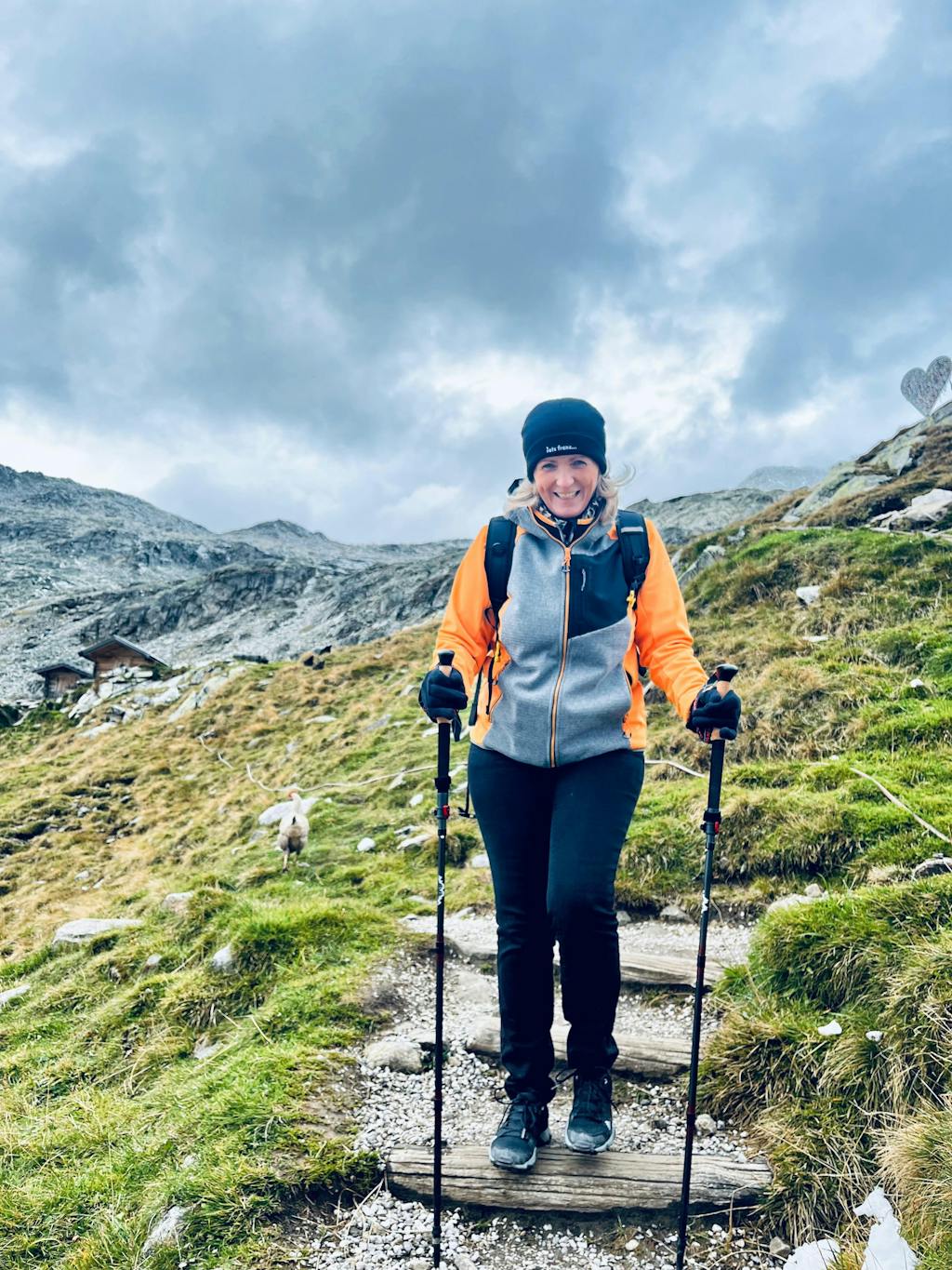 Wanderstöcke faltbar & höhenverstellbar | Leicht & Stabil – Alpenwert – ALPENWERT