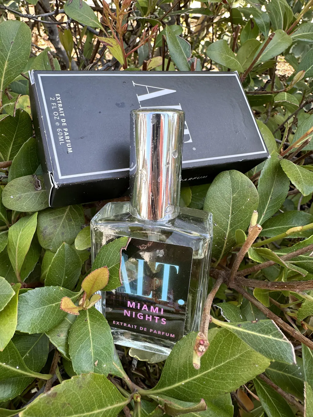 ALT. Miami Beach | Inspired by Fontainebleau®, Miami Beach – ALT ...