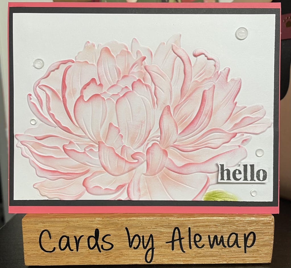 Peony Sunshine 3D Embossing Folder | Altenew