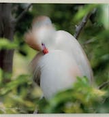 Aluminyze - Stunning Metal Prints