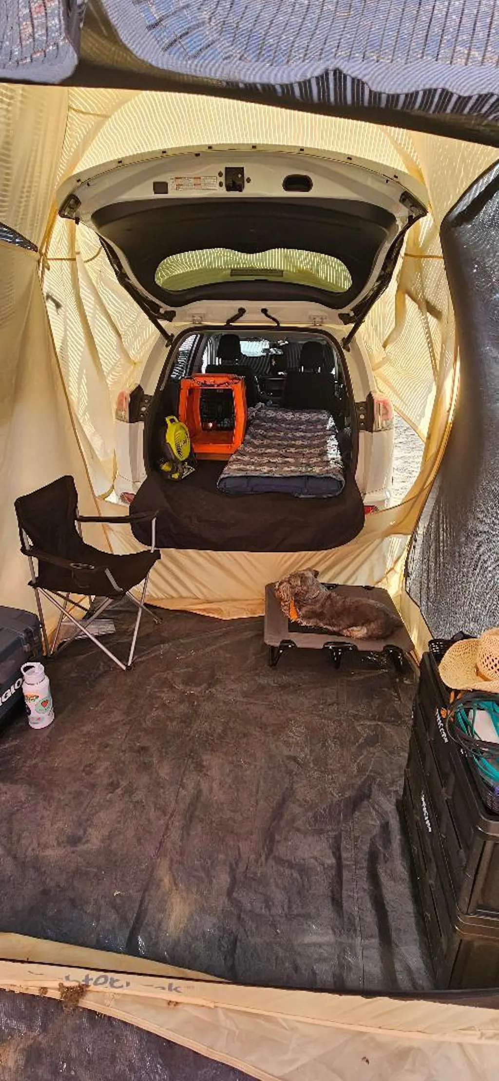 Buy 2-IN-1 Pop Up SUV Tent Instant Camping Screen Tent At Low-cost