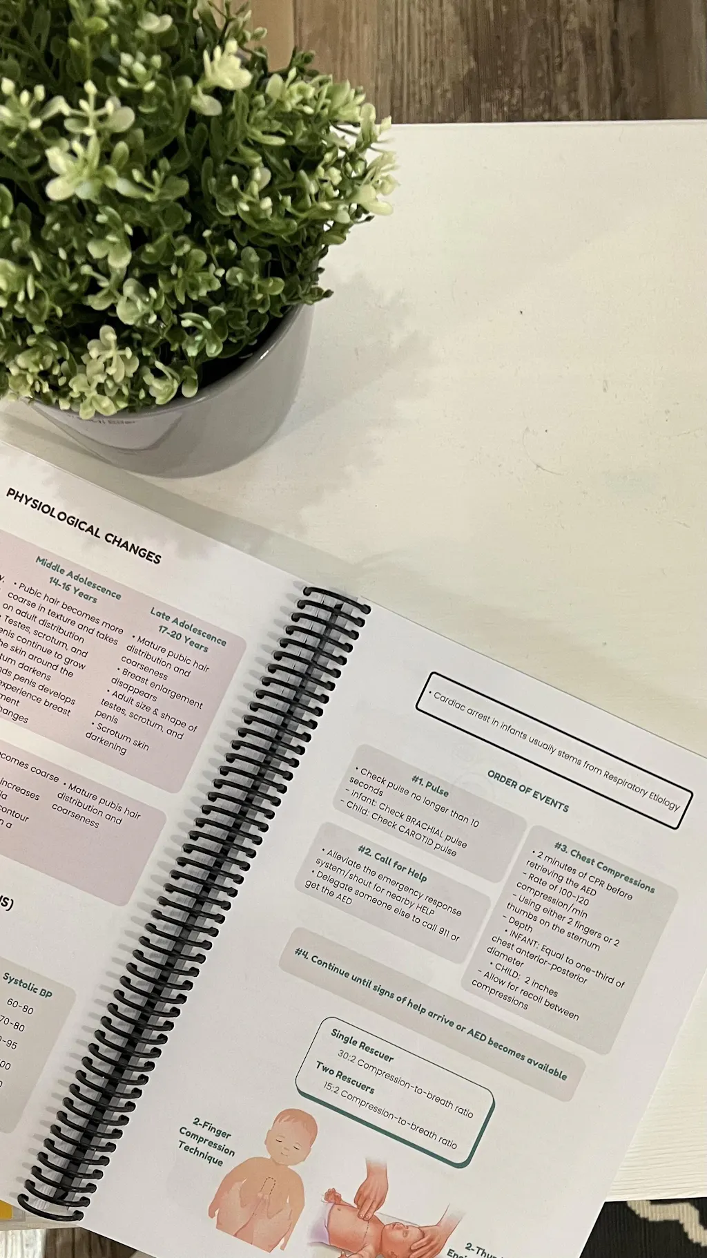 The All-in-One Nursing School Bundle – Amazing Nursing