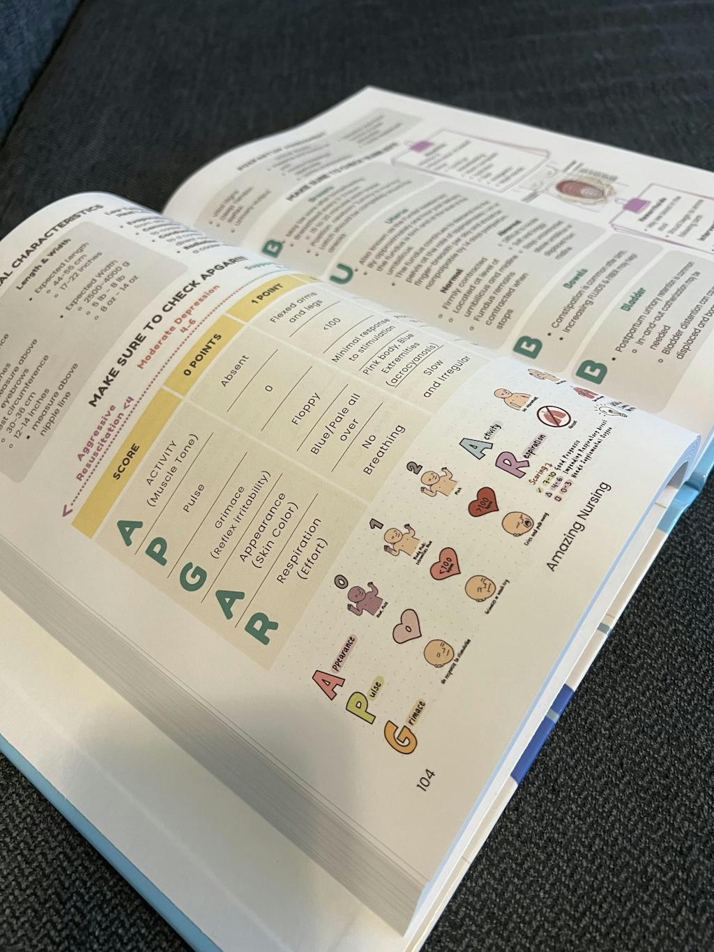 The All-in-One Nursing School Bundle – Amazing Nursing