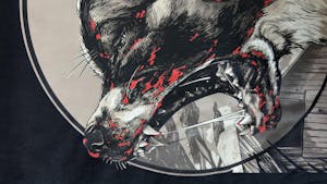 Amazing Transfers - Direct To Film (DTF)