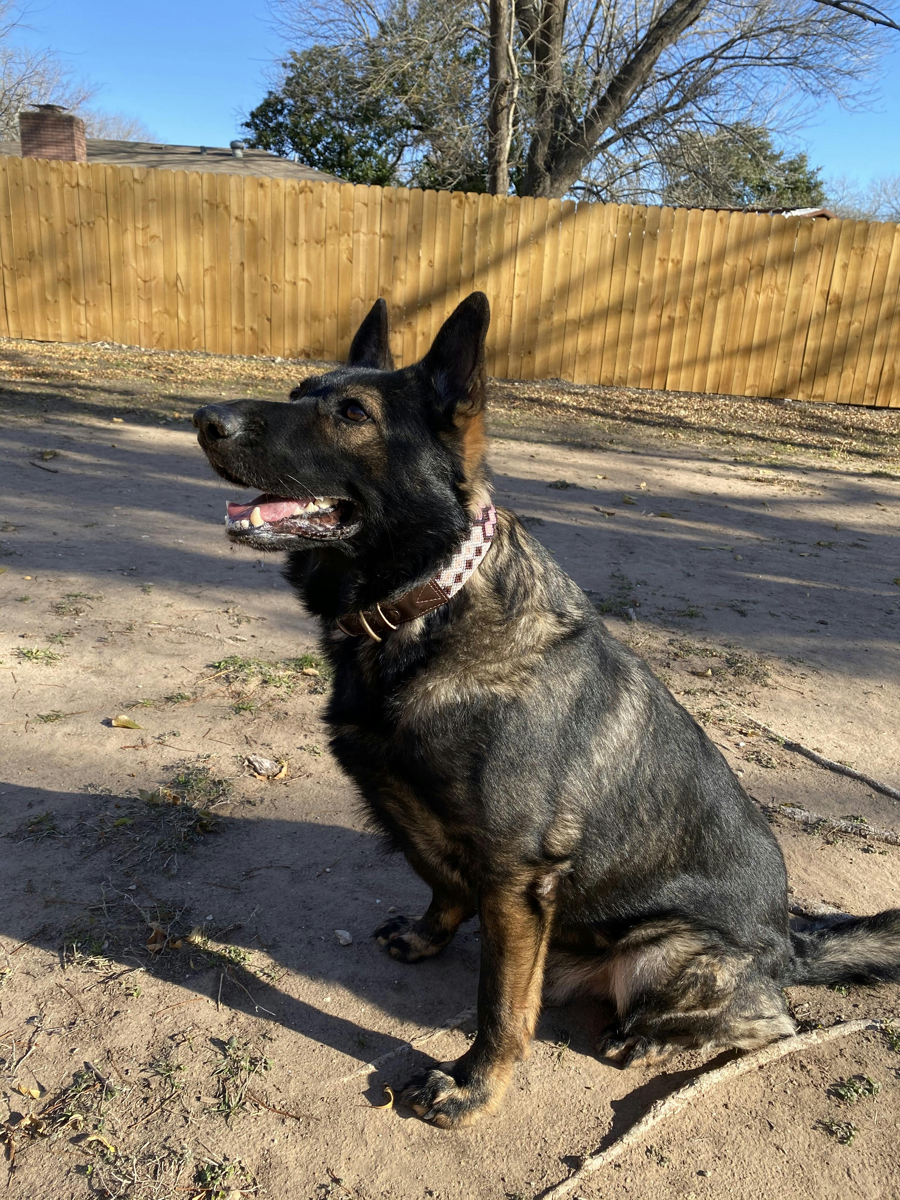 AMOR FEATURED COLLAR: PRIMAVERA - AMOR Handmade