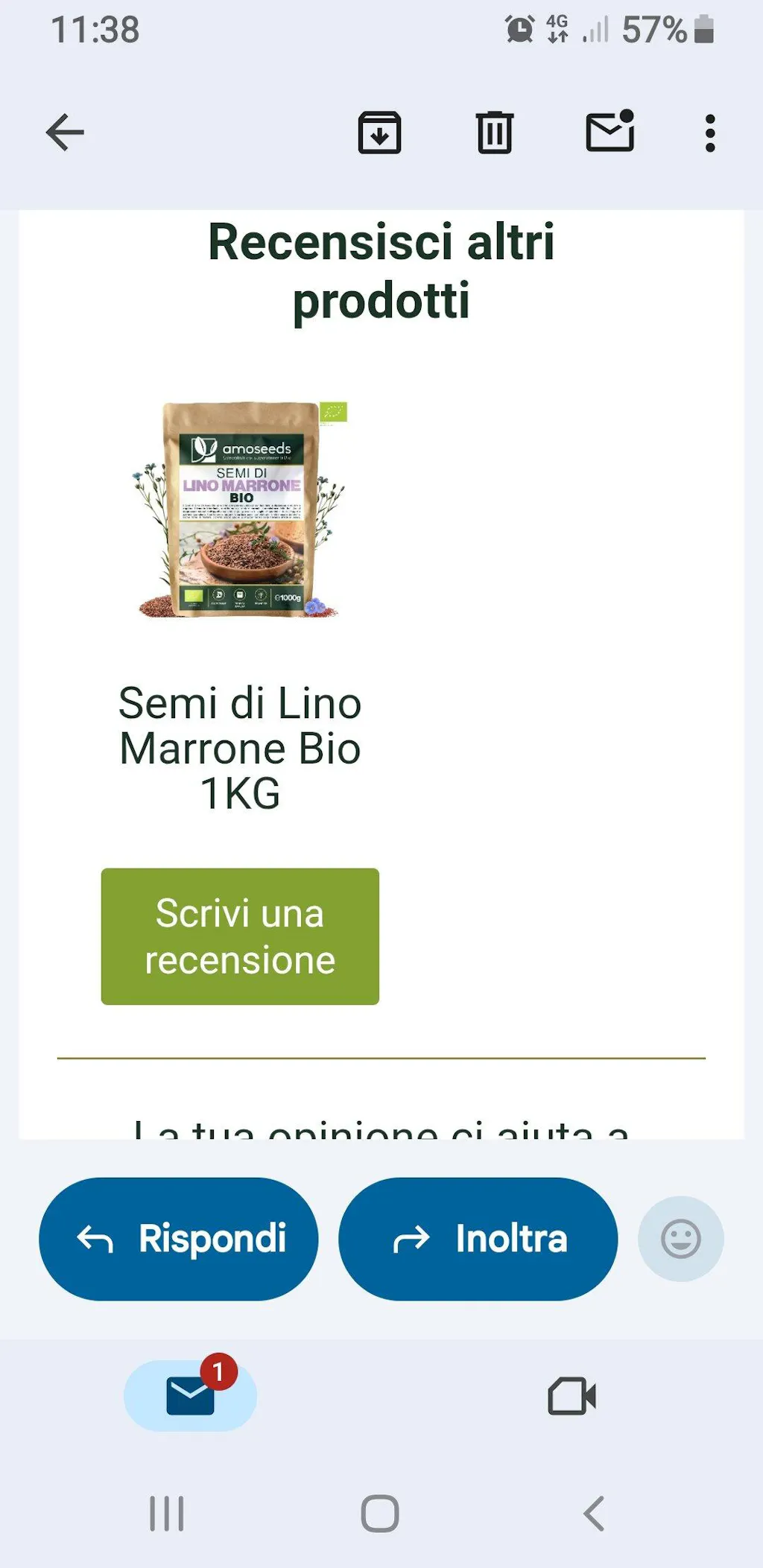 Semi di Lino Marrone Bio 1KG | Qualità Superiore – Amoseeds Italia