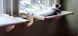 Wood Cat Window Sill Perch – Amosijoy