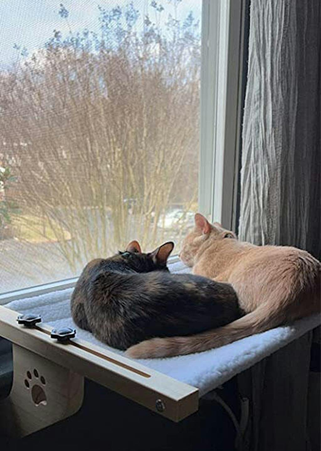 Wood Cat Window Sill Perch – Amosijoy