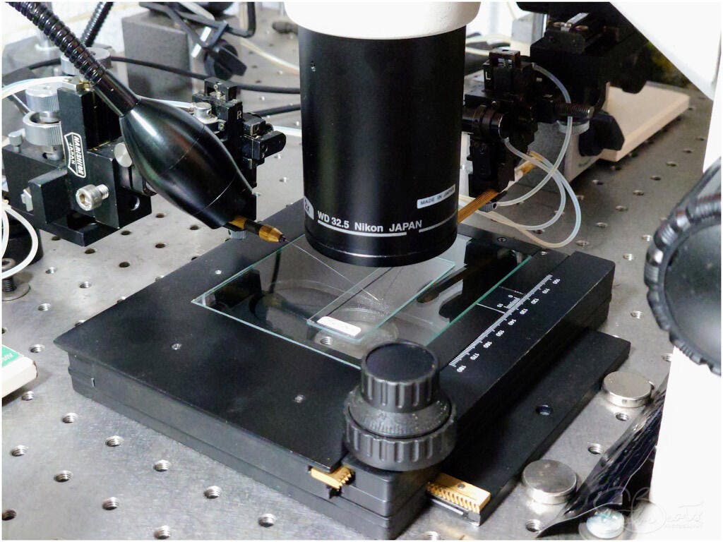 AmScope X-Y Gliding Table - Manual Stage For Microscopes – AmScope UK
