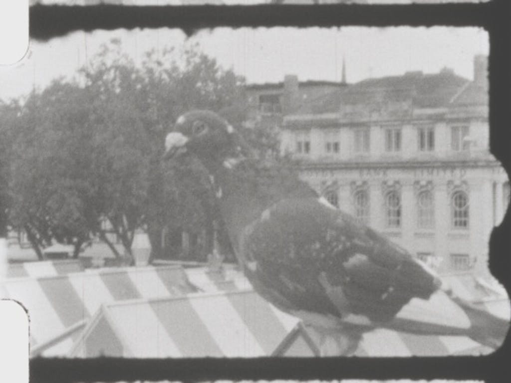 Fomapan R - Double 8mm Movie Film - 33ft - Analogue Wonderland