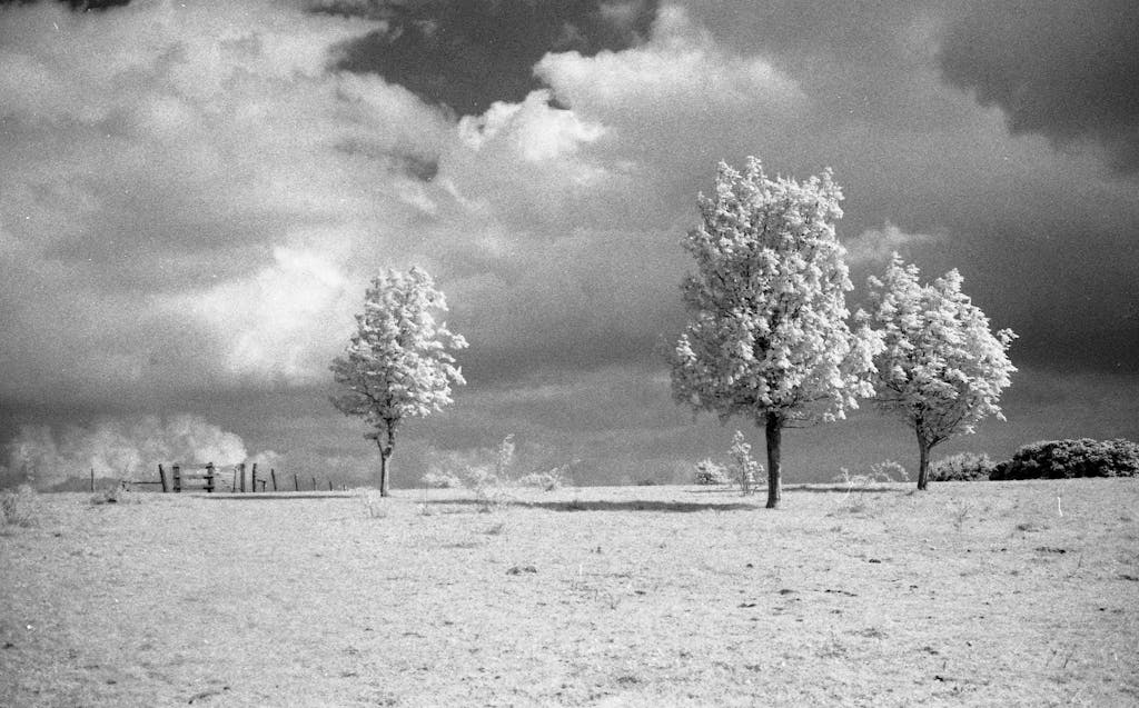 Rollei Retro 400S | 35mm film | Analogue Wonderland