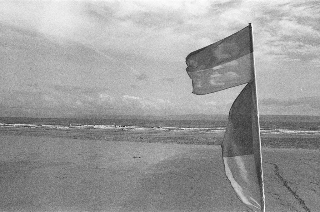 Bergger Pancro 400 - 35mm Film - Analogue Wonderland