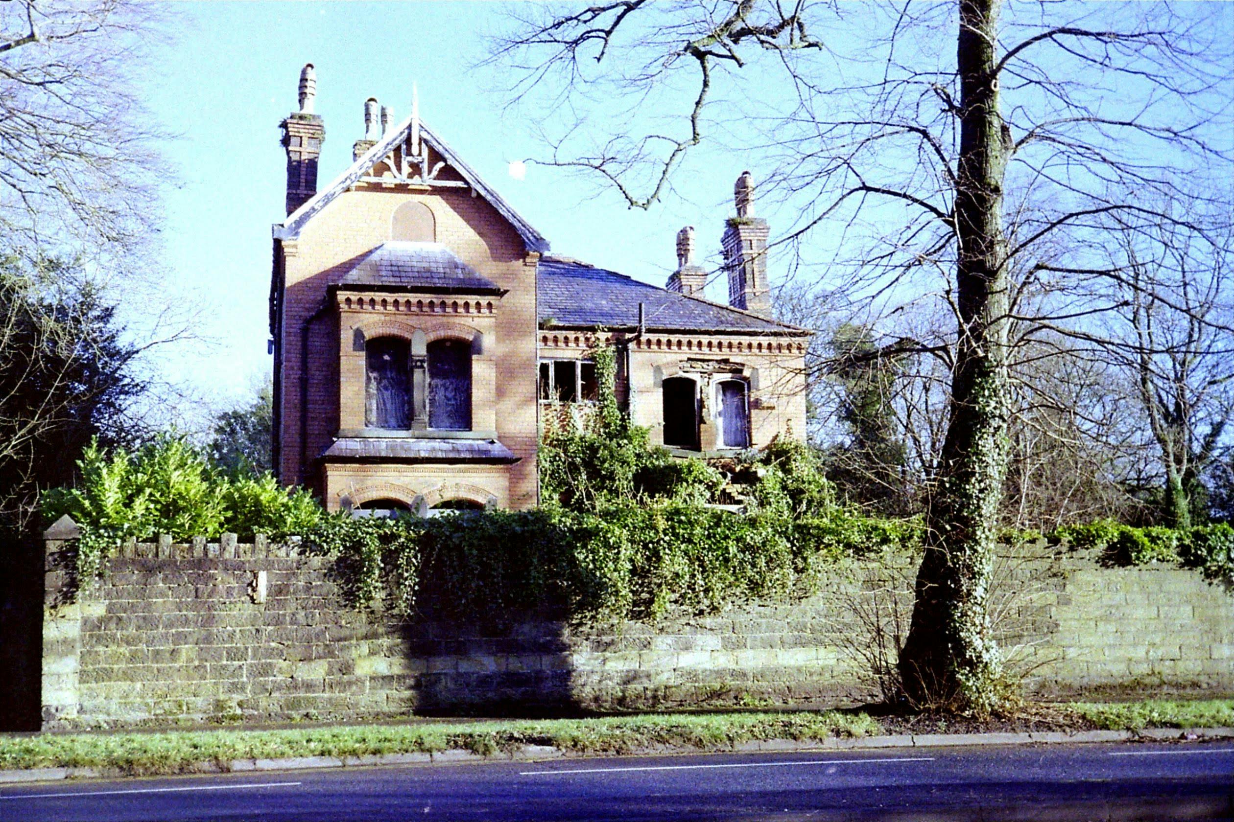 CineStill CS41 Colour Film Developer - 1Ltr Powder Kit - Analogue ...