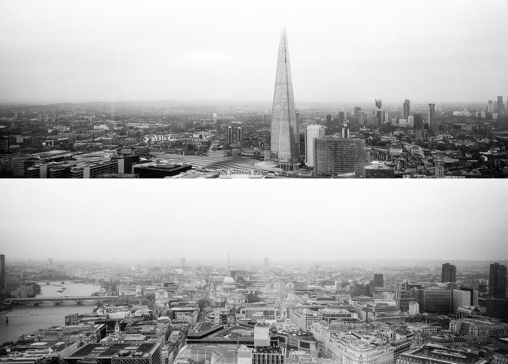 Washi F - 35mm Film - Analogue Wonderland