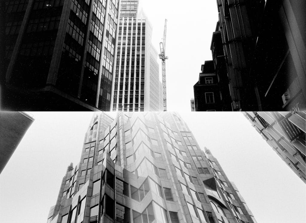 Washi F - 35mm Film - Analogue Wonderland