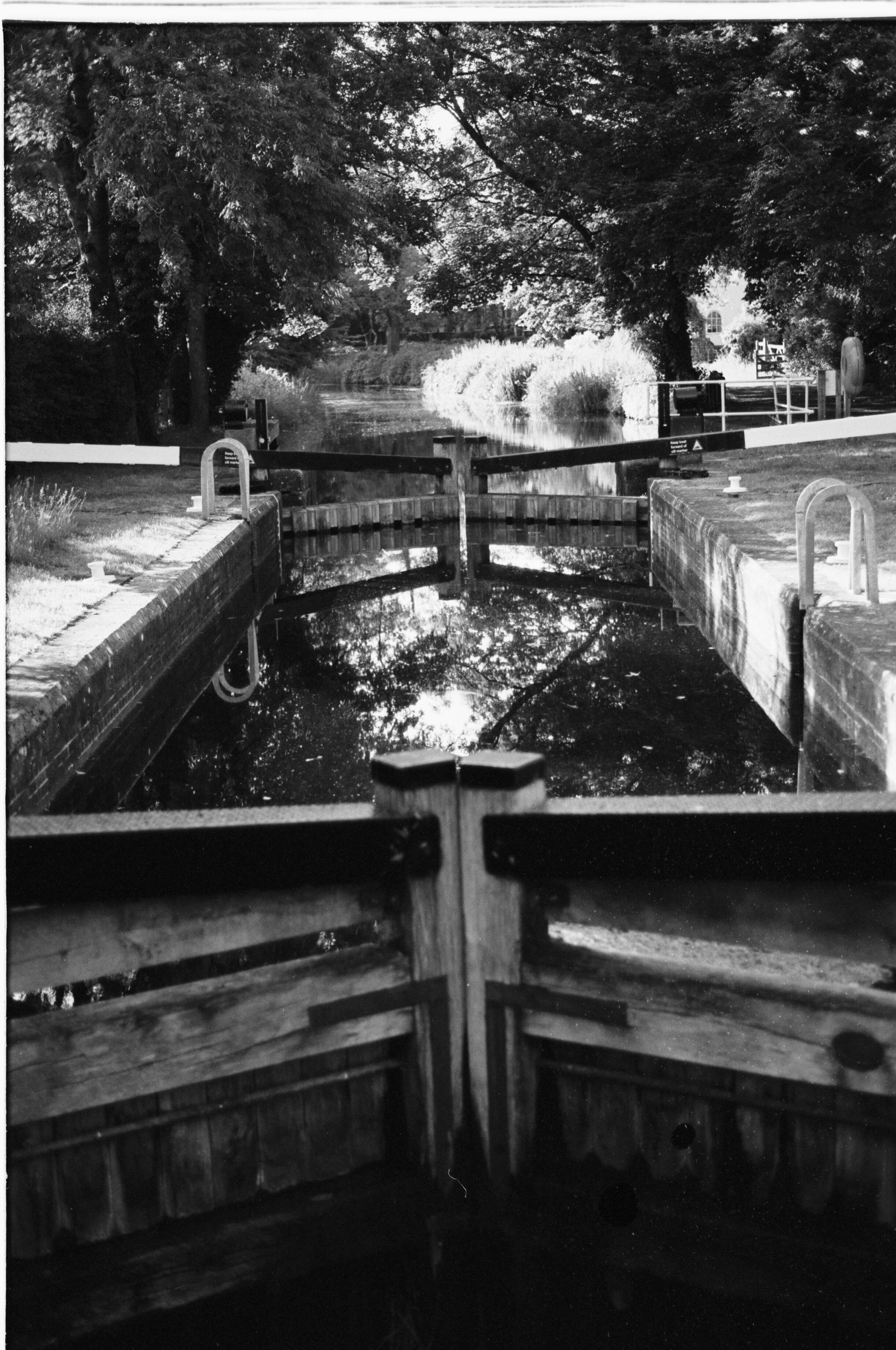 Rollei Retro 80S - 35mm Film - Analogue Wonderland