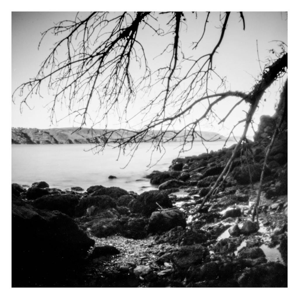 Rollei Retro 80S - 120 Film - Analogue Wonderland