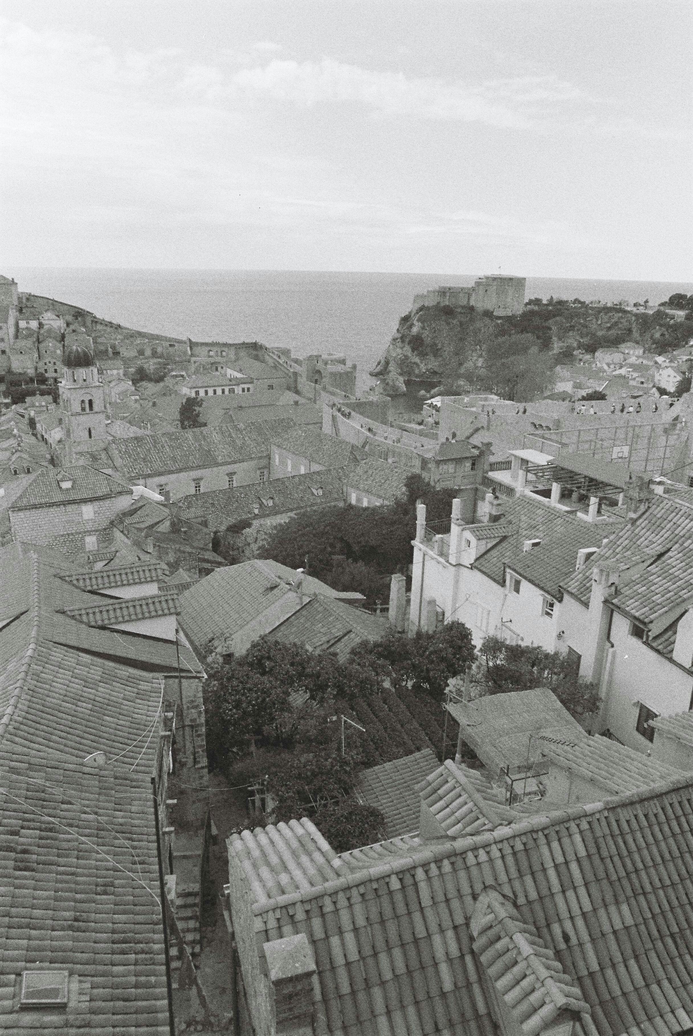 Bergger Pancro 400 - 35mm Film - Analogue Wonderland