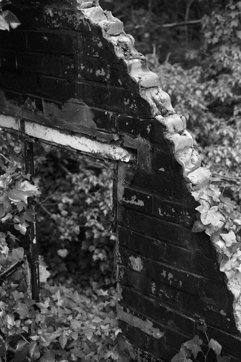 Rollei Retro 400S - 35mm Film - Analogue Wonderland