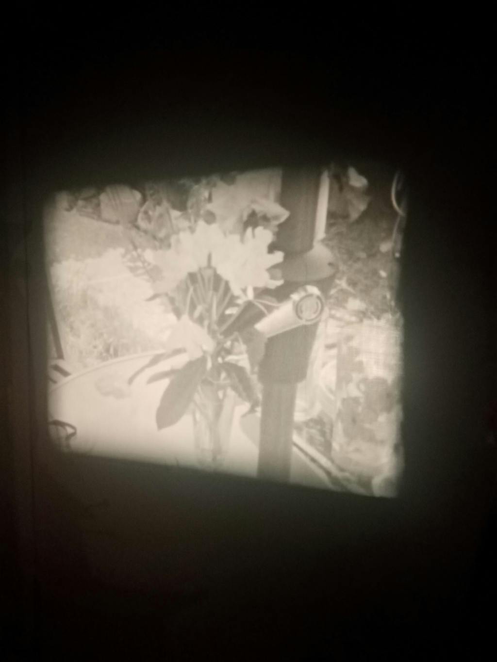 Fomapan R - Double 8mm Movie Film - 33ft - Analogue Wonderland