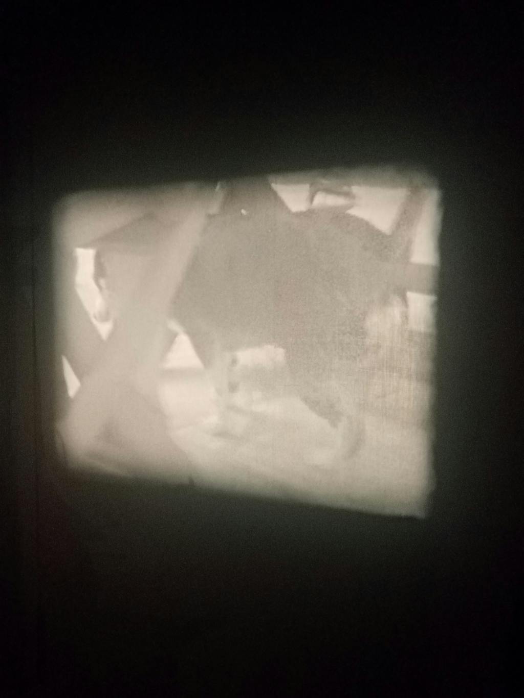 Fomapan R - Double 8mm Movie Film - 33ft - Analogue Wonderland