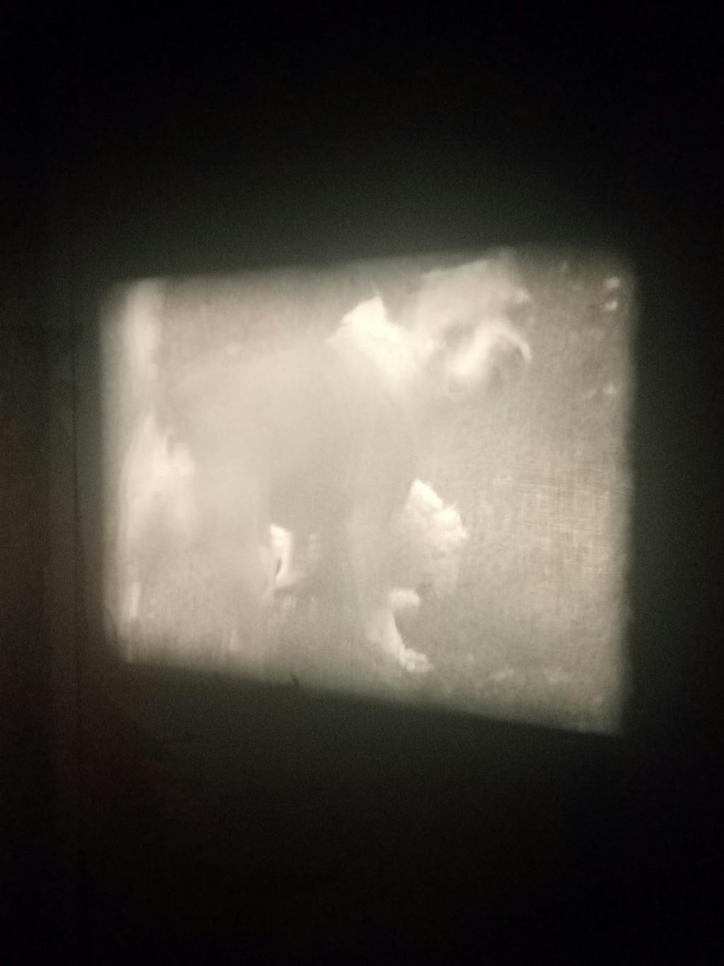 Fomapan R - Double 8mm Movie Film - 33ft - Analogue Wonderland