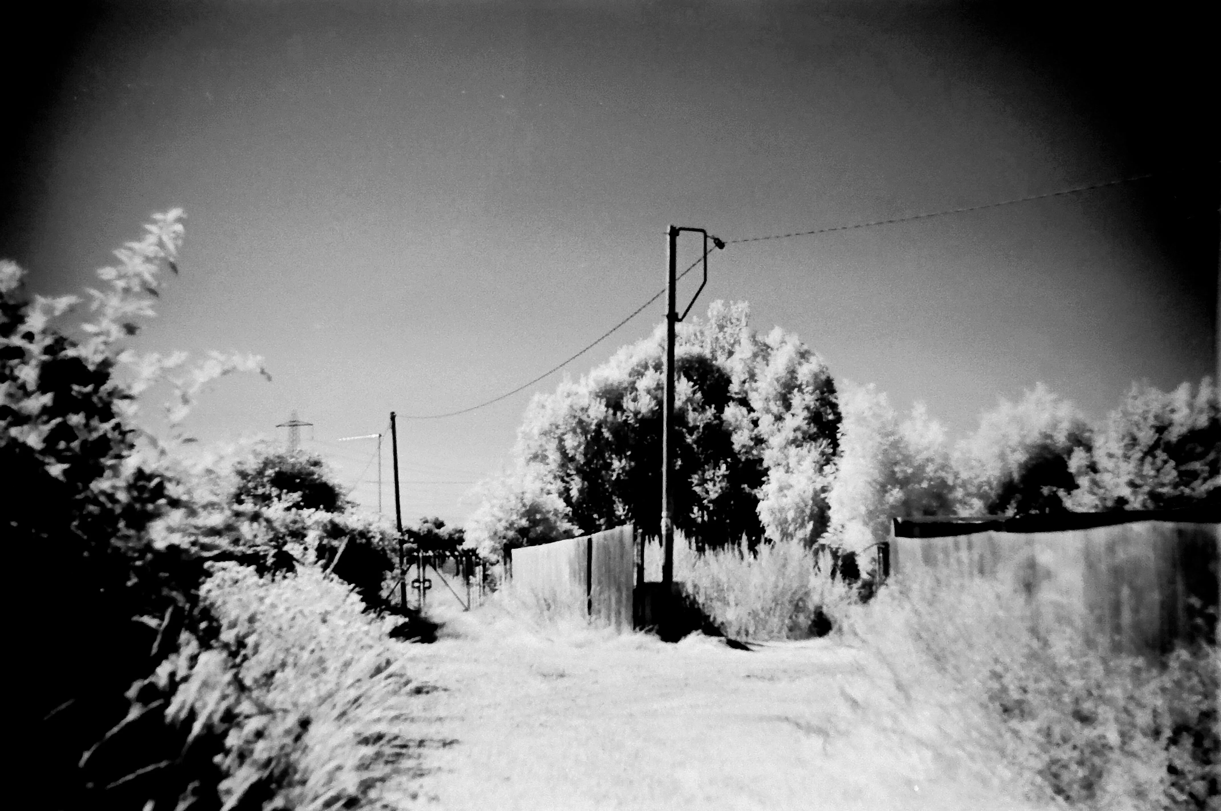 Adox HR-50 - 35mm Film - Analogue Wonderland