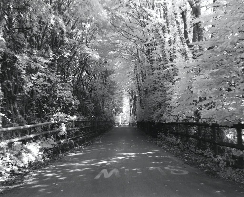 Rollei Superpan 200 - 120 Film - Analogue Wonderland