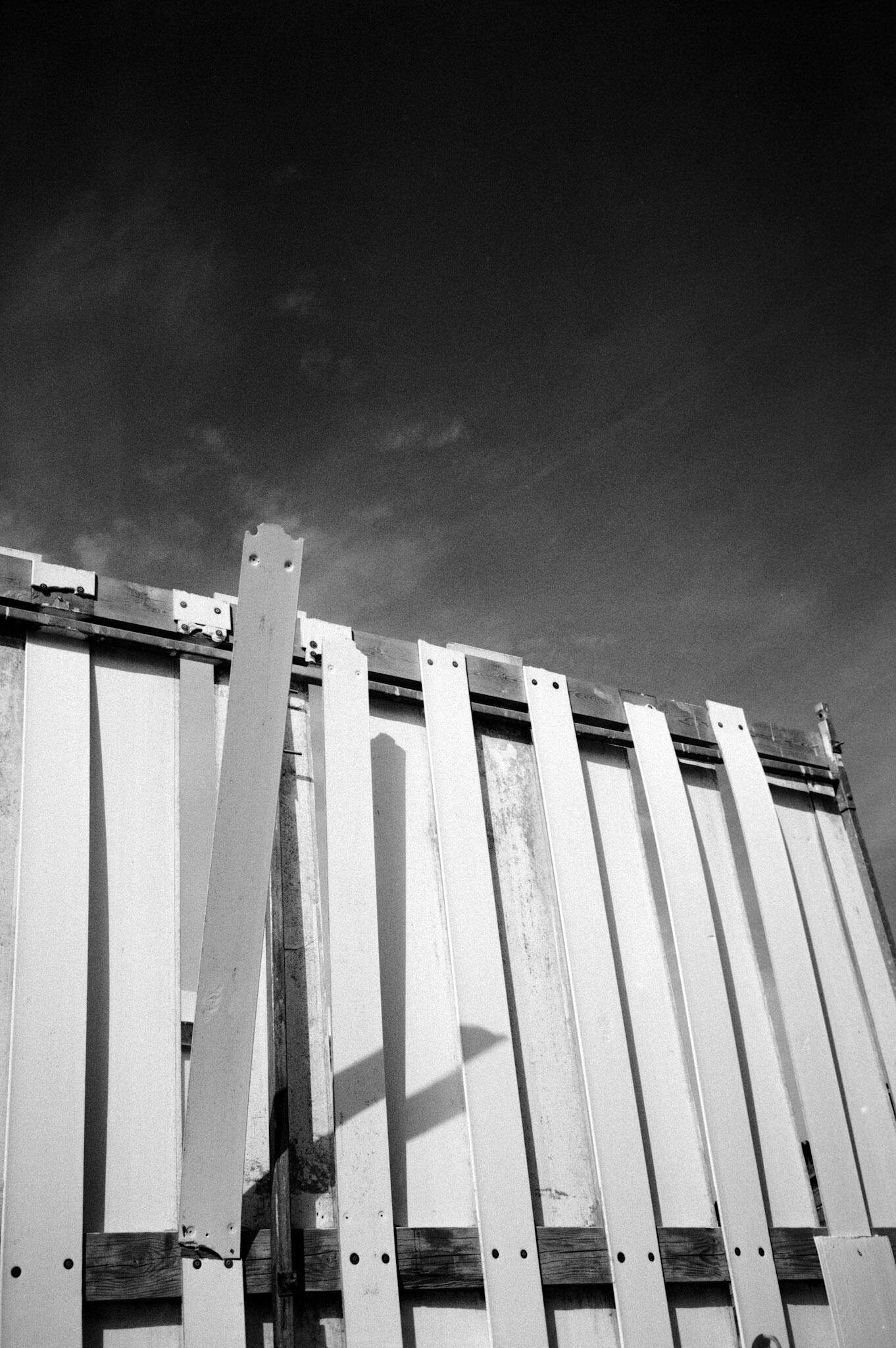 Rollei Infrared - 35mm Film - Analogue Wonderland