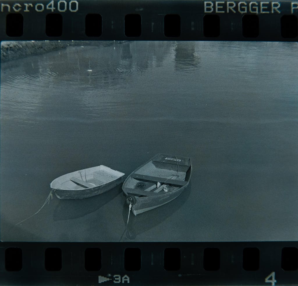 Bergger Pancro 400 - 35mm Film - Analogue Wonderland