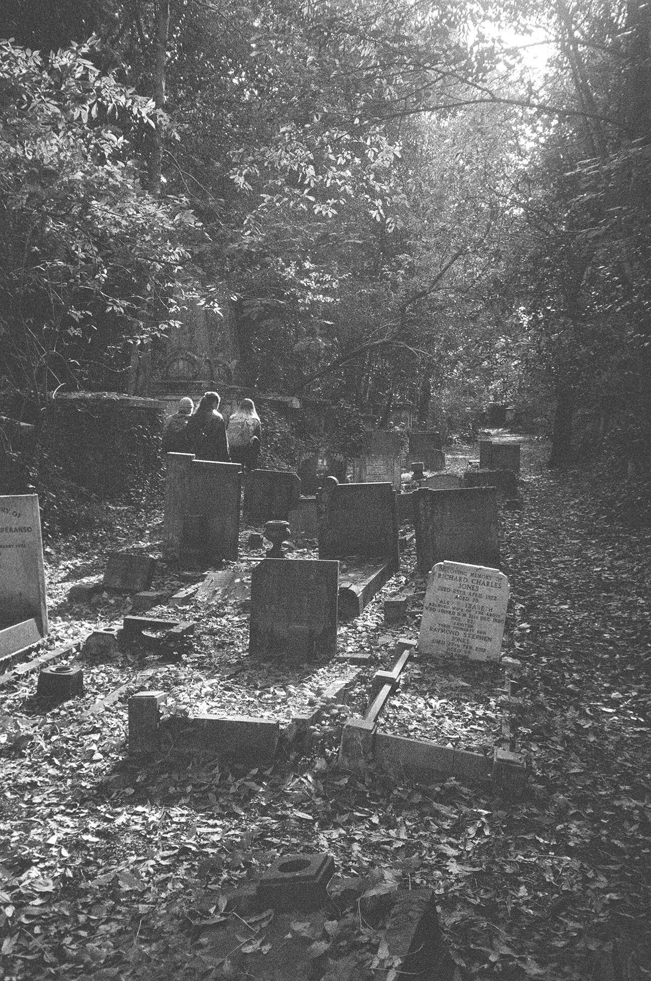 Bergger Pancro 400 - 35mm Film - Analogue Wonderland