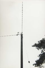 Rollei Infrared - 35mm Film - Analogue Wonderland