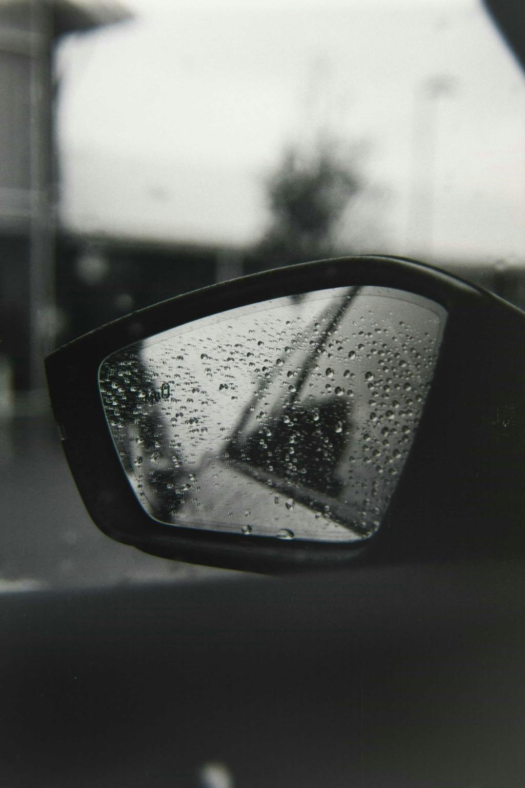 Rollei Infrared - 35mm Film - Analogue Wonderland