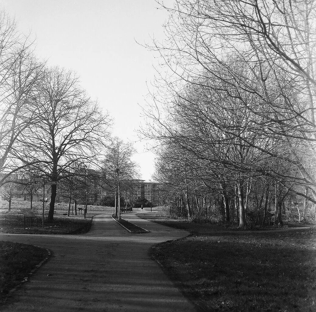 Fomapan Classic 100 - 120 Film - Analogue Wonderland