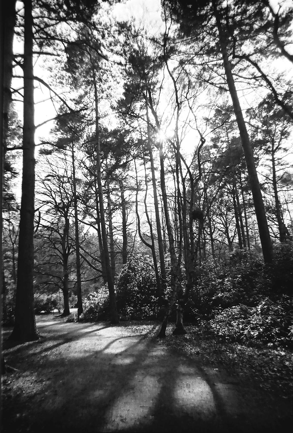 Rollei Retro 400S - 35mm Film - Analogue Wonderland