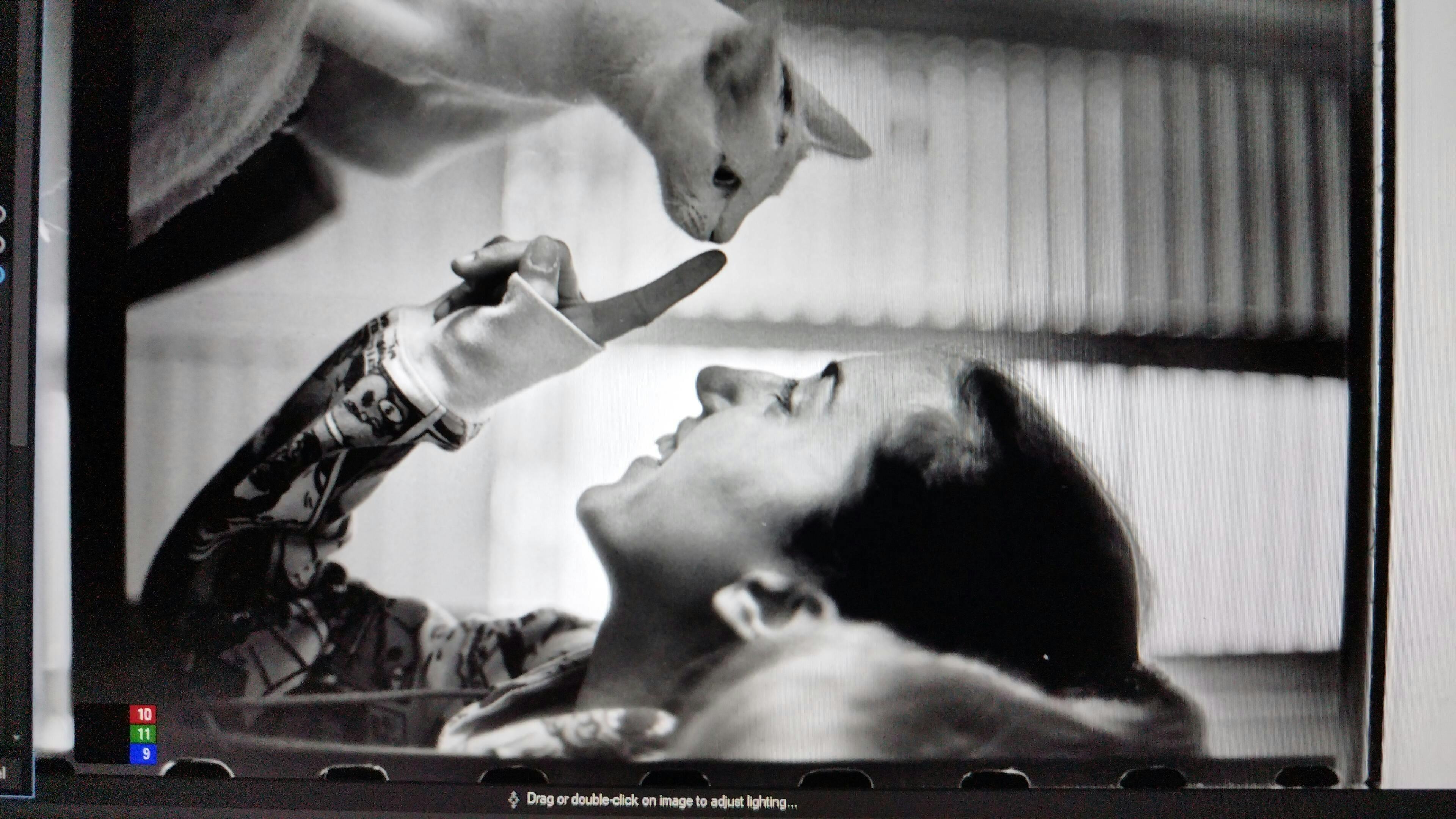 Rollei Superpan 200 - 35mm Film - Analogue Wonderland