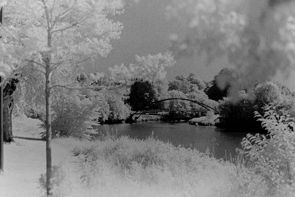 Rollei Infrared - 35mm Film - Analogue Wonderland
