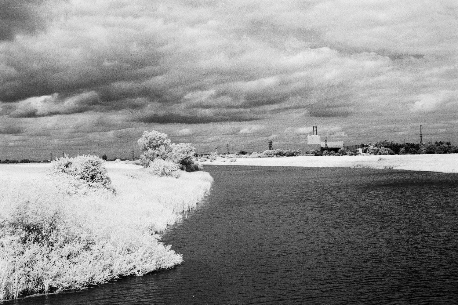 Rollei Infrared - 35mm Film - Analogue Wonderland
