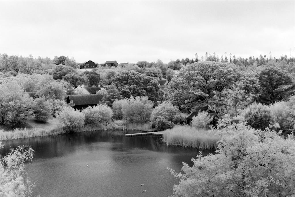 Rollei Infrared - 35mm Film - Analogue Wonderland