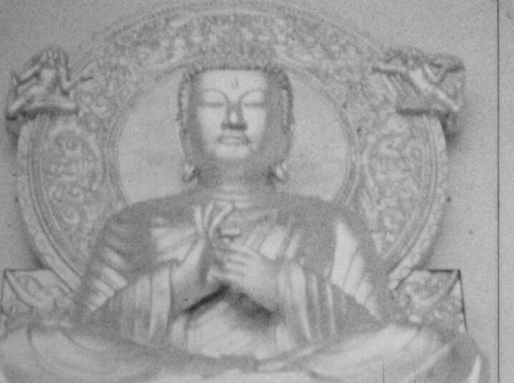 Fomapan R - Double 8mm Movie Film - 33ft - Analogue Wonderland