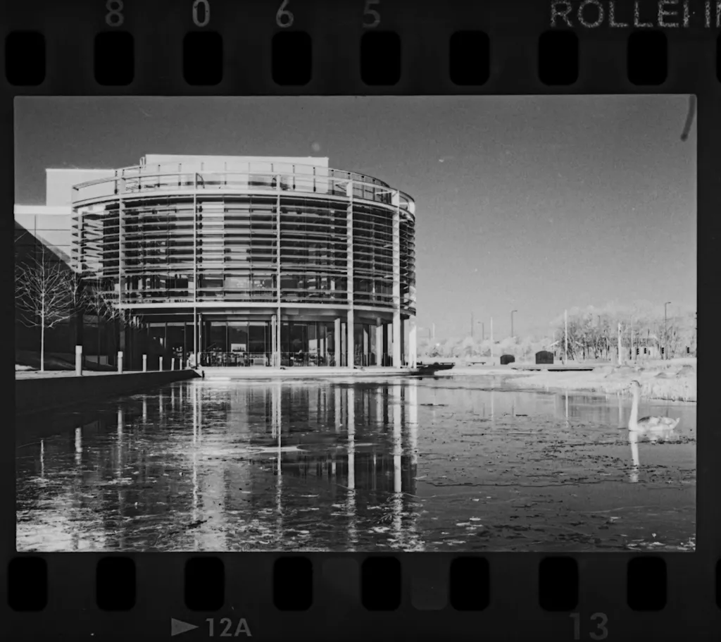 Rollei Infrared - 35mm Film - Analogue Wonderland