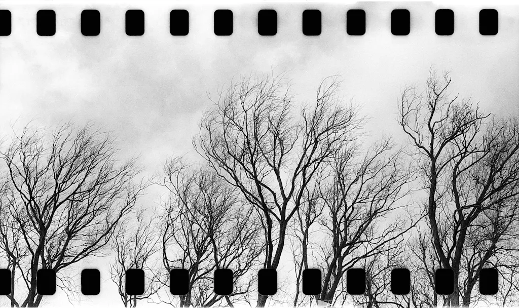 Lomography Digitaliza - 35mm Film Scanning Mask - Analogue Wonderland