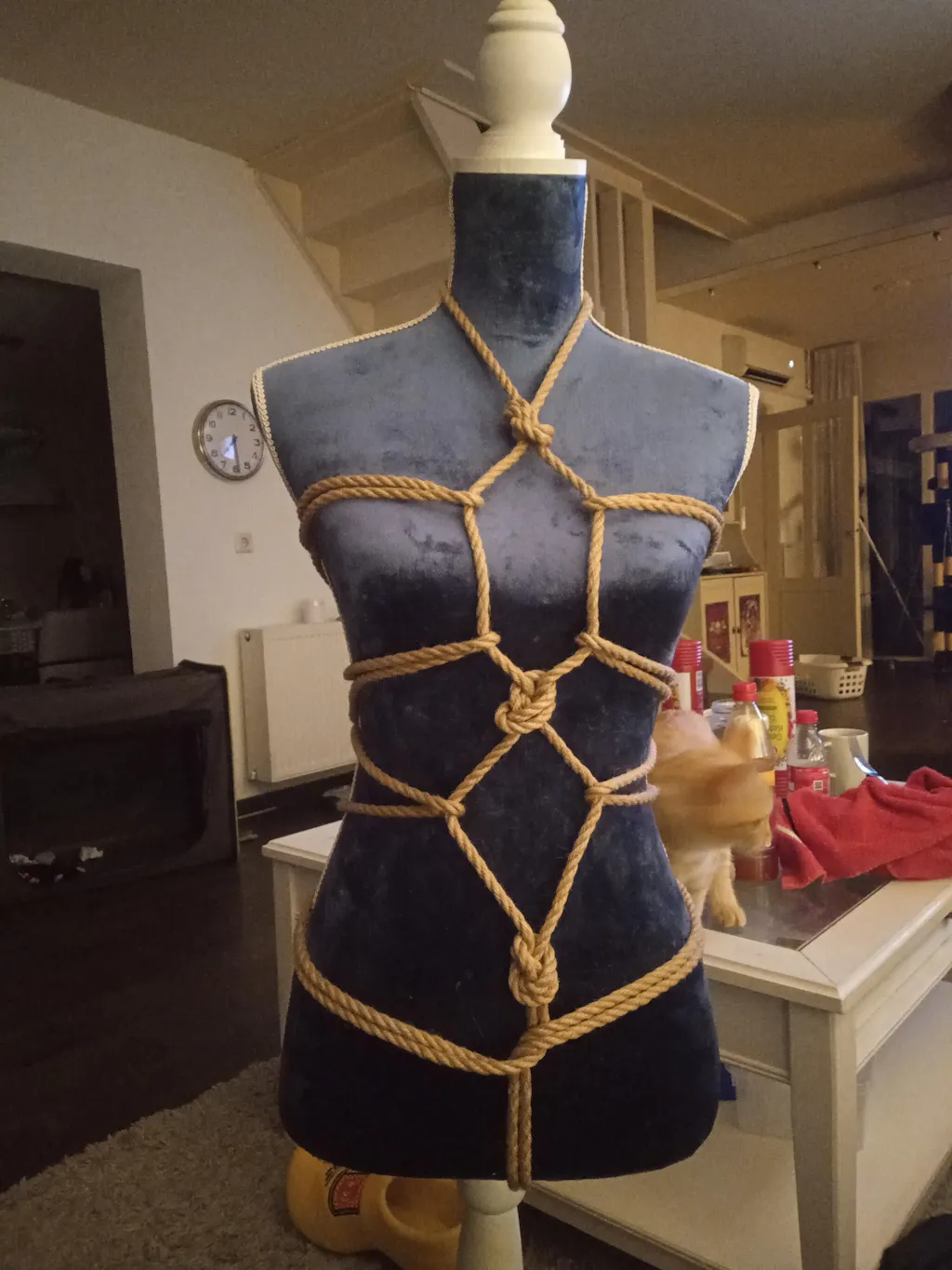 Super Beginners' Jute Rope Kit – Anatomie Rope Shop