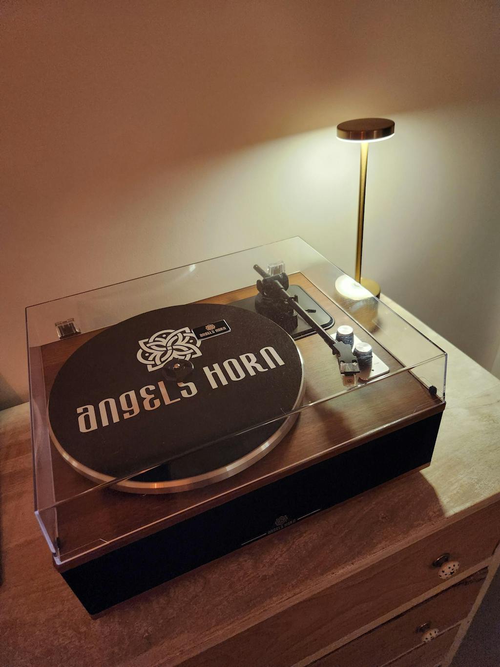 Angels Horn H019: High-Quality Vintage Record Player for Audiophiles ...