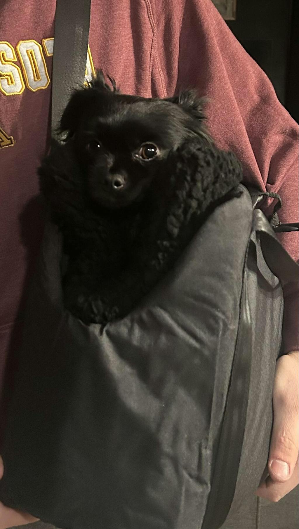 ThermiBag – Ani-Mal Store