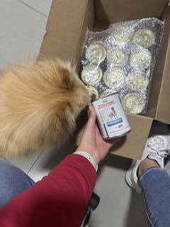 Trihepatic Suplemento Alimenticio para Perros y Gatos 100 ml – AniMALL