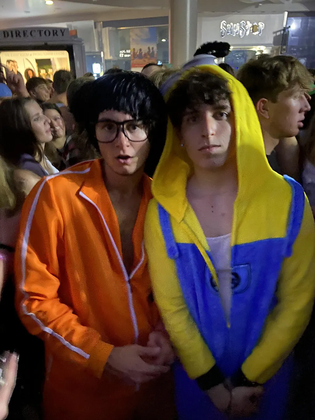 Despicable Me Vector Costume