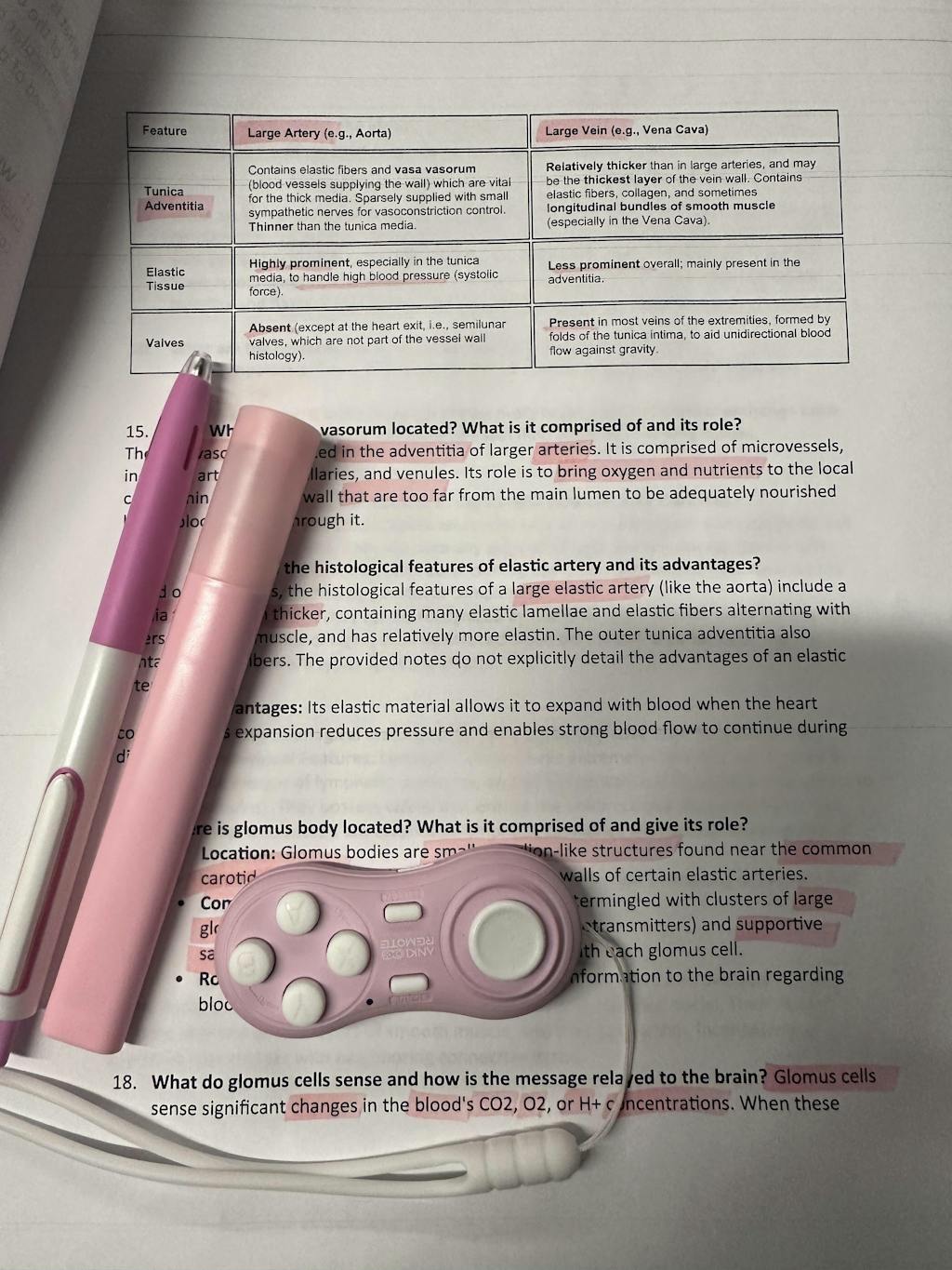 Anki Remote | Zero Setup Anki Controller – Anki Remote / StudyRemote