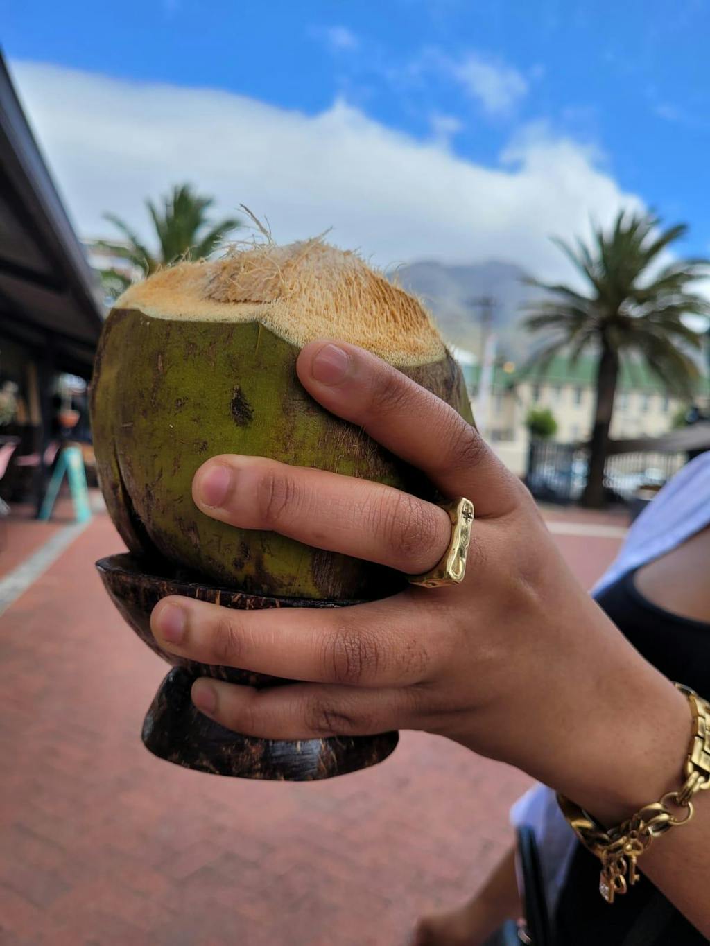 Ingwe Leopard Safari Signet Ring – Anna Rosholt Jewellery